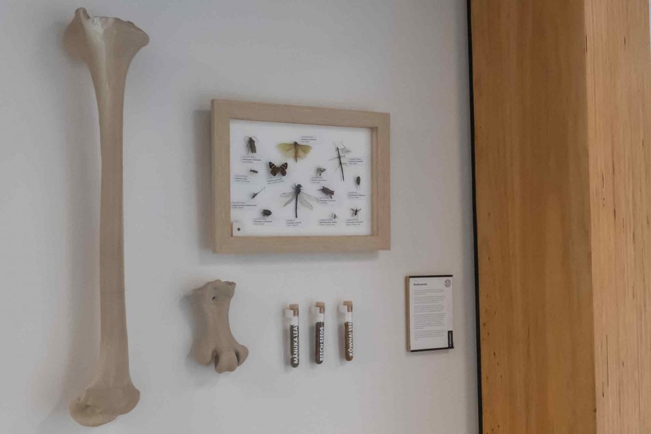 Biodiversity display » Manaaki Whenua