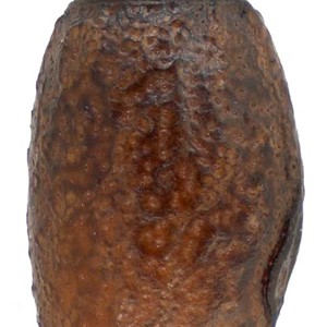 Classification and identification » Manaaki Whenua