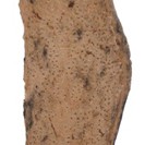 Classification and identification » Manaaki Whenua