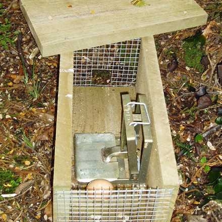 Traps tested by target species » Manaaki Whenua