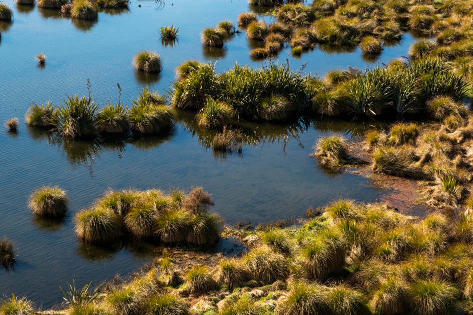 Restoring wetland ecosystem functioning » Manaaki Whenua