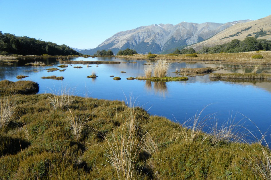 Ecosystem resilience » Manaaki Whenua