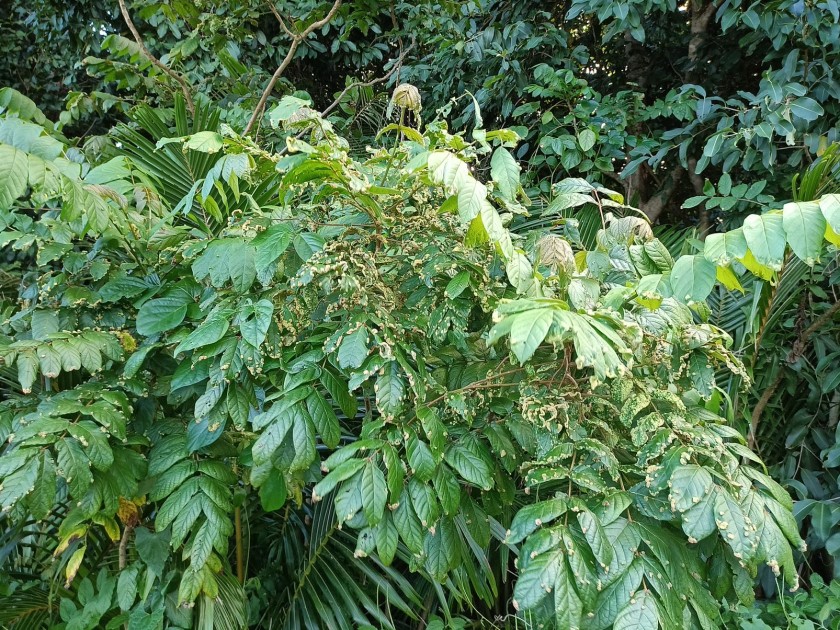 Our projects » Manaaki Whenua