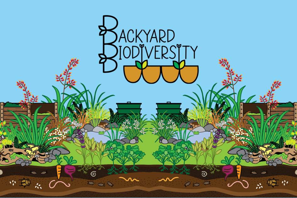Backyard biodiversity » Manaaki Whenua