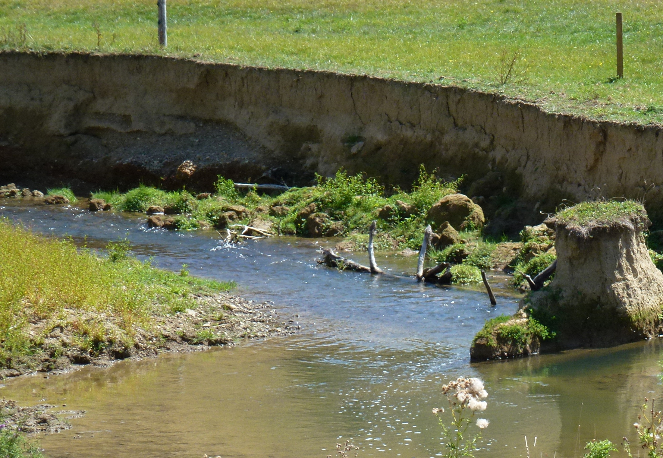 Erosion Control Science Project