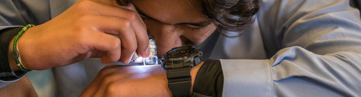 Get involved » Manaaki Whenua