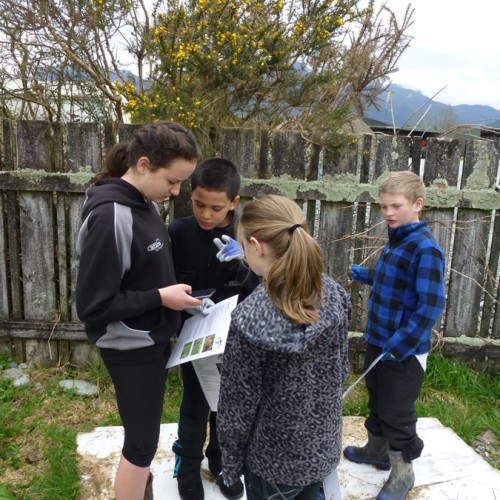 Whataroa School » Manaaki Whenua