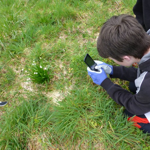 Whataroa School » Manaaki Whenua