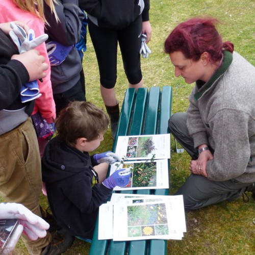 Whataroa School » Manaaki Whenua