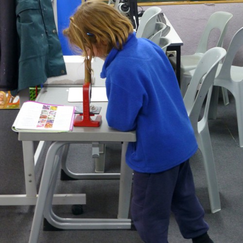 Haast School » Manaaki Whenua