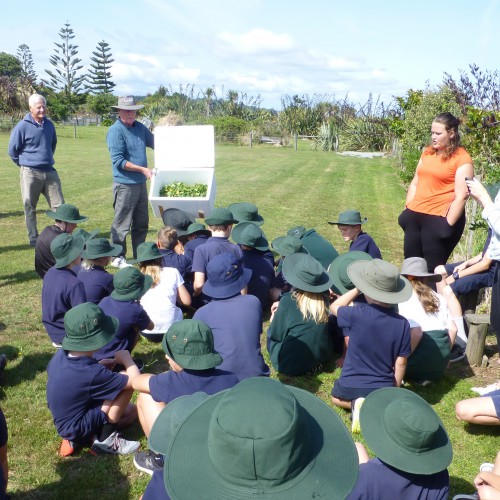 Paroa School » Manaaki Whenua