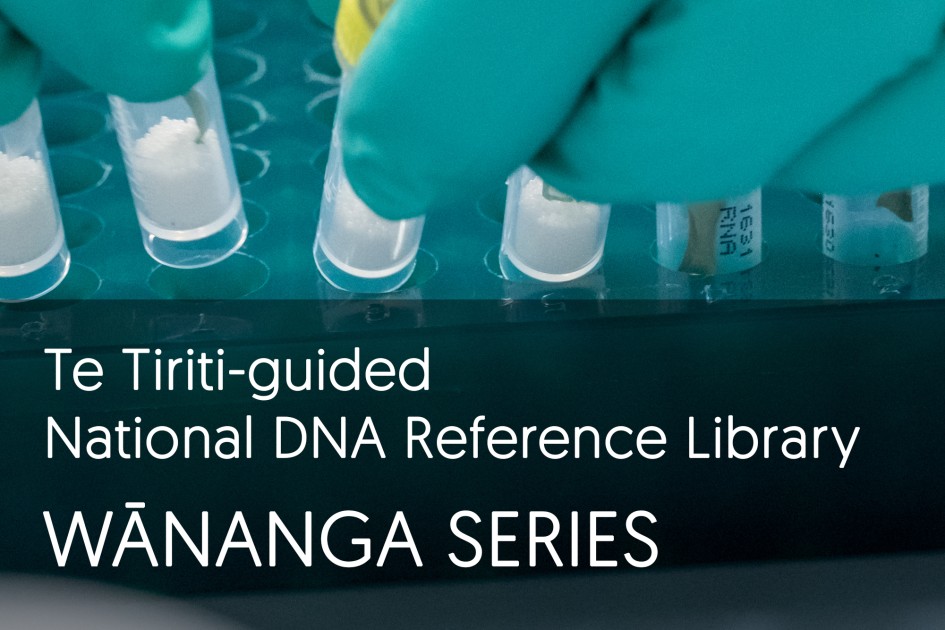 Te Tiriti-guided national DNA reference library wānanga series ...