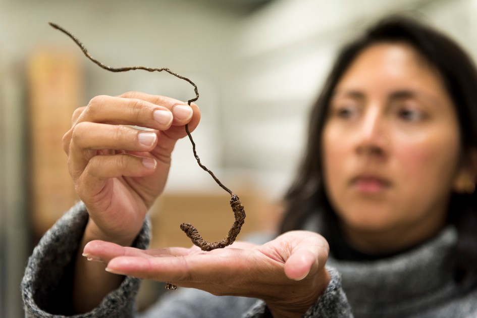 Successful āwheto research spurs further collaboration projects with ...