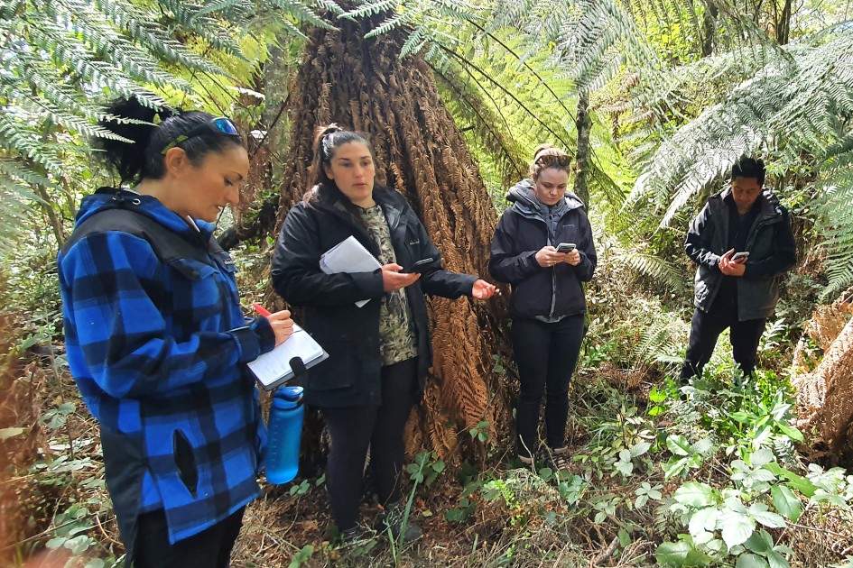 Me ora te ngahere: forest health through an indigenous biocultural lens ...