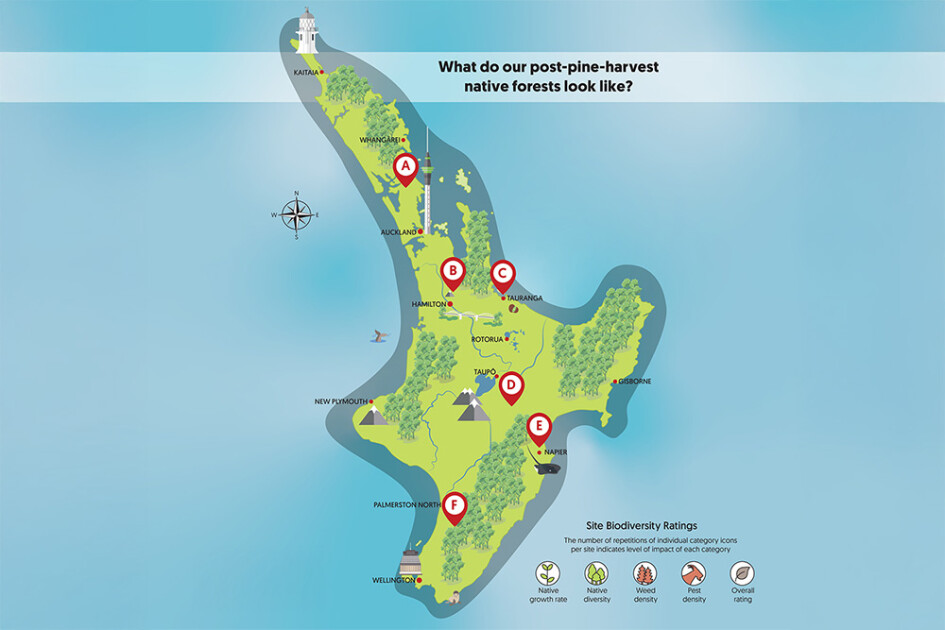 He Ngahere, He Korowai: Resilient land use strategies for whenua Māori ...