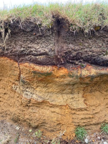 S-map expands further and reaches 11 million hectares! » Manaaki Whenua