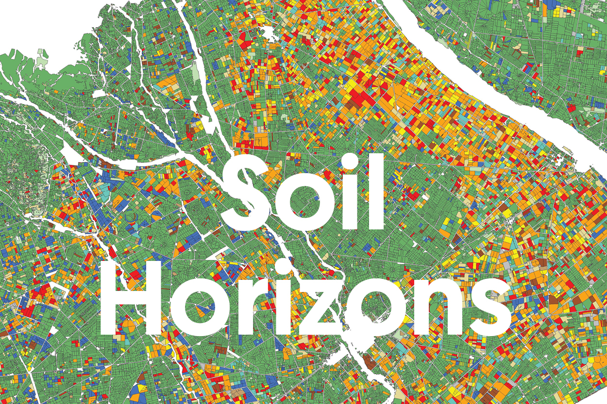 Soil Horizons