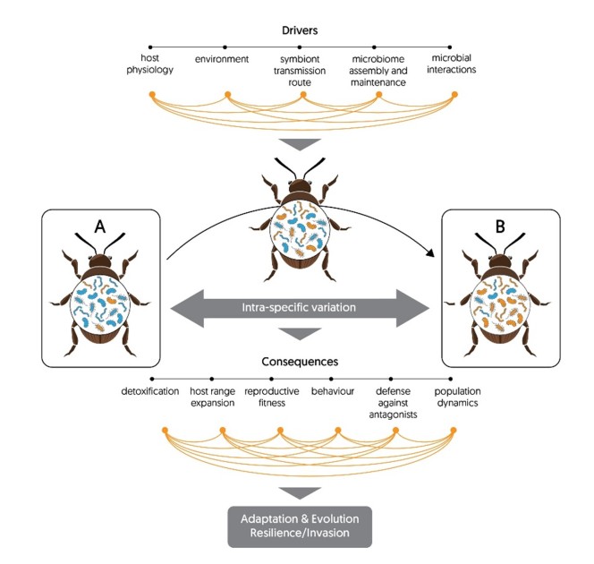 Focusing on the Insect Microbiome » Manaaki Whenua