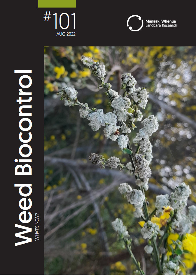 Weed Biocontrol Whats New Manaaki Whenua