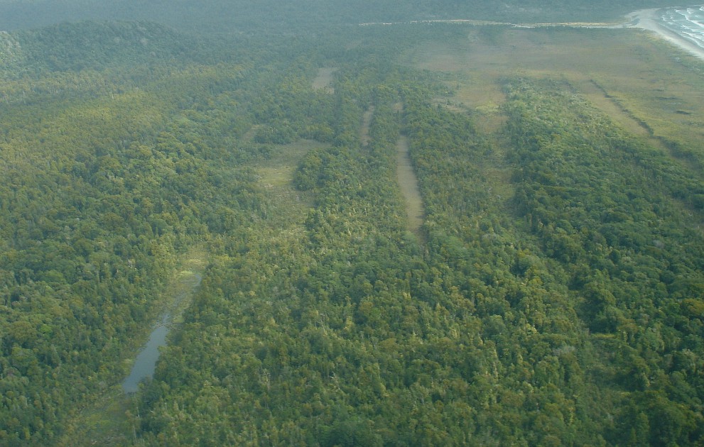 Dune slacks » Manaaki Whenua