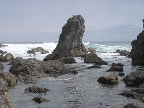 Coastal rock stacks » Manaaki Whenua