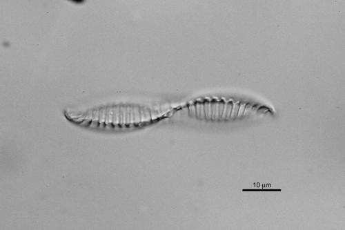 Image gallery » Manaaki Whenua