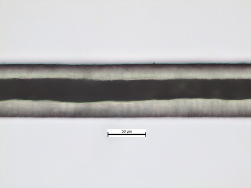 Taiaha (kurī hairs) » Manaaki Whenua