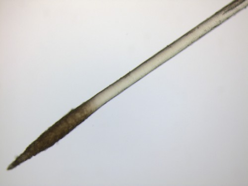 Hair features » Manaaki Whenua