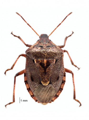 Image gallery » Manaaki Whenua