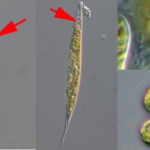 Glossary » Manaaki Whenua