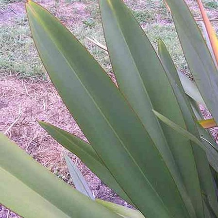 Awahou » Manaaki Whenua