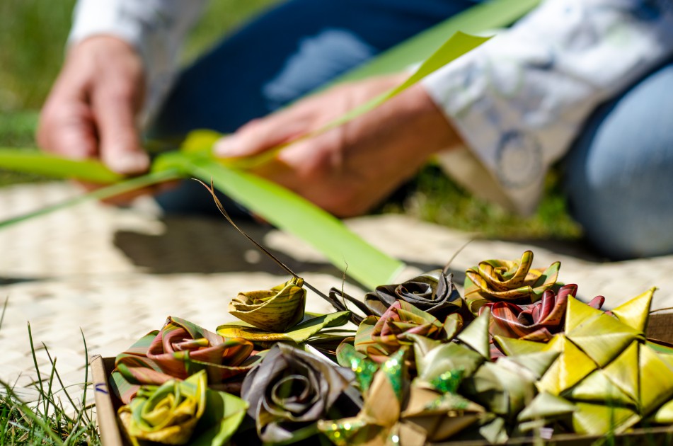 Flax cultivar uses » Manaaki Whenua