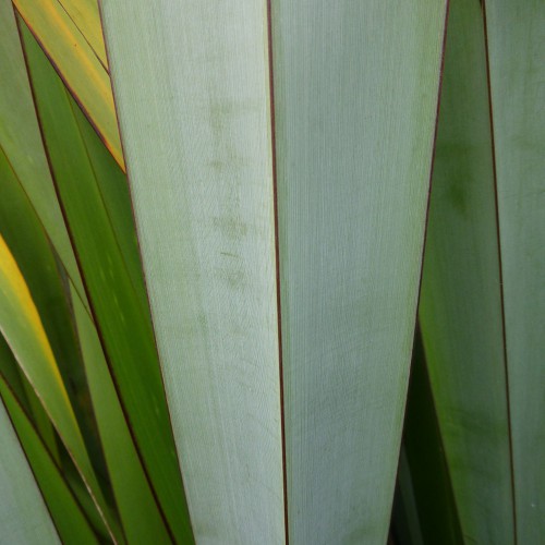 Manunu » Manaaki Whenua