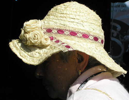 Houhere – Lacebark » Manaaki Whenua