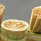 Kuta and Kāpūngāwhā » Manaaki Whenua