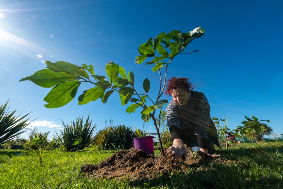 Science & mātauranga Māori » Manaaki Whenua